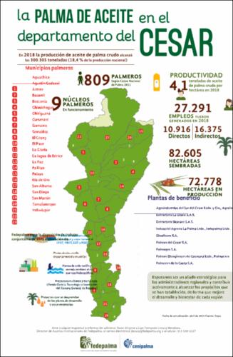 La palma de aceite en el departamento de Cesar [2021]
