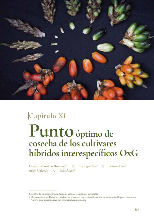 Punto óptimo de cosecha de los cultivares híbridos interespecíficos OxG